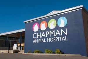Geraldton Veterinary Clinic | Vets in Geraldton | Chapman Animal Hospital